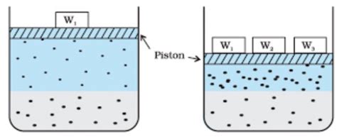 Solubility Of Gases And Solids In Liquids Chemistry Class 12 Solutions