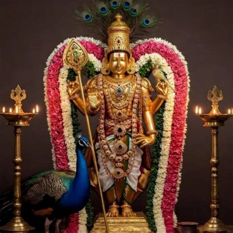 King Of Navaneethan Youtube