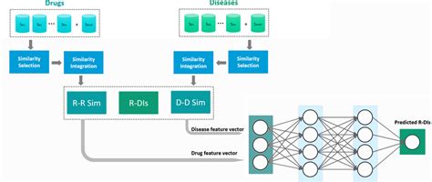 The Overall Workflow Of The Snf Nn Approach Download Scientific Diagram