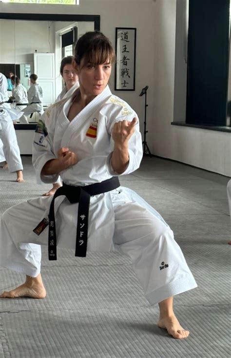 Sandra Sanchez S Feet