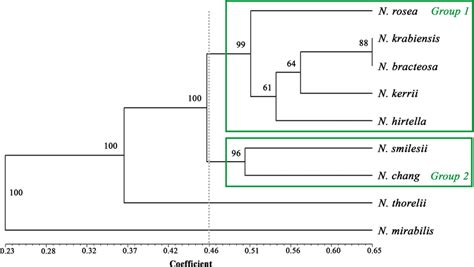Upgma Based Dendrogram Showing Genetic Relationships Among The Nine