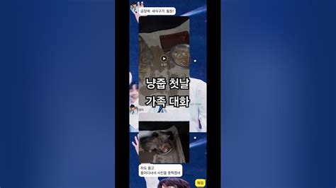 벼리 처음 온 날 가족톡 고양이 벼리 냥줍 아가냥 Youtube
