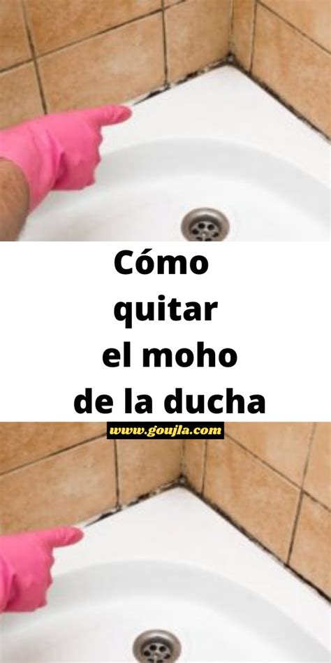 Cómo quitar el moho de la ducha en 2021 Limpieza de inodoros