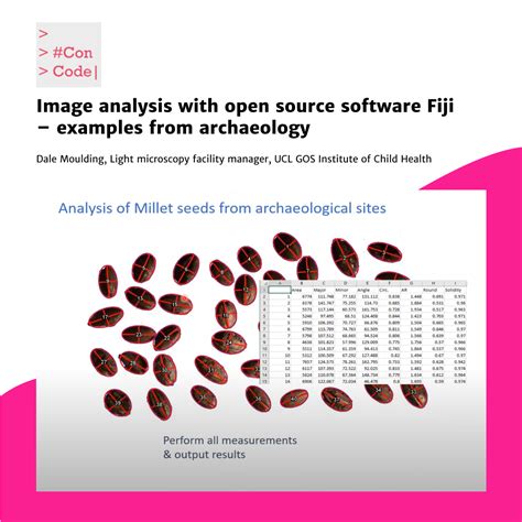 using fiji software for cultural heritage analysis conserv
