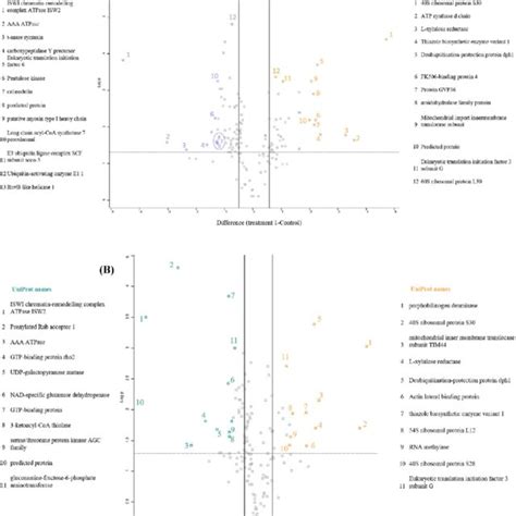A Principal Component Analysis Generated During Perseus Analysis The Download Scientific
