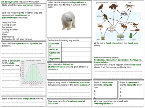 Exploring Science Year 7 Revision Worksheets Teaching Resources