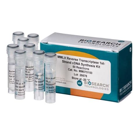 Mmlv Reverse Transcriptase 1st Strand Cdna Synthesis Kit Genetarget