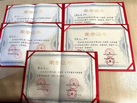 首页 传媒学院 四川音乐学院