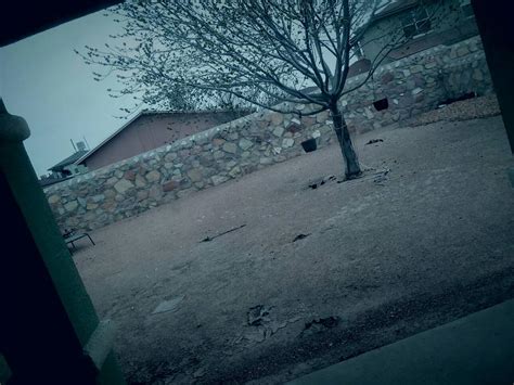 A Twee By Cocolovespizza On Deviantart