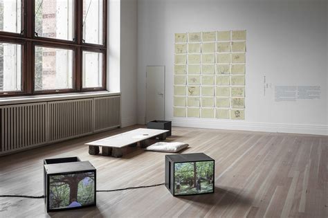 Zheng Bo Gets Intimate—and Political—with Plants