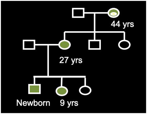 Genetic Inheritance III Flashcards Quizlet