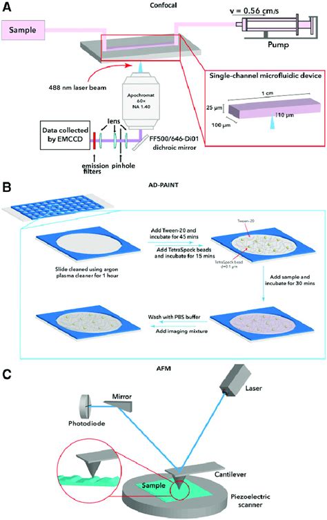 Schematic Of Single Aggregate Methods Used A Confocal Imaging B