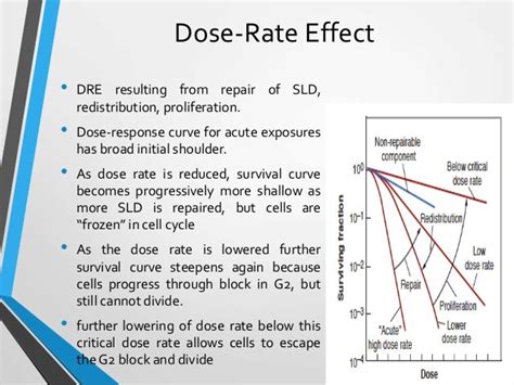 Fractionated Radiation And Dose Rate Effect