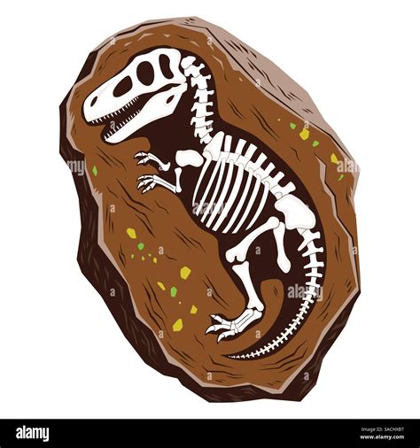Dino Fossil Skeleton In Rock Cartoon Vector Of A Tyrannosaurus Rex Relic A Complete Skeletal