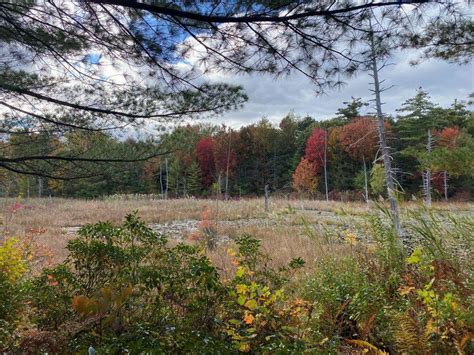 Remembering Russell Dickerman And His Legacy At Monson Center