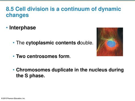 © 2015 Pearson Education Inc Ppt Download