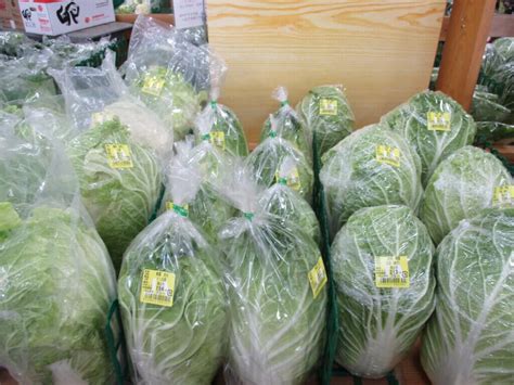 「白菜」入荷しました！ あぐれっしゅげんき村 Jaいるま野