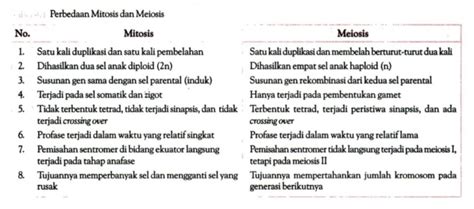 Apa Perbedaan Mitosis Dan Meiosis Ini Penjelasannya