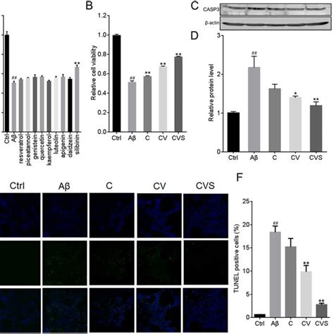 Cvs Treatment Inhibits Aβ 25−35 Induced Pc12 Cell Apoptosis A