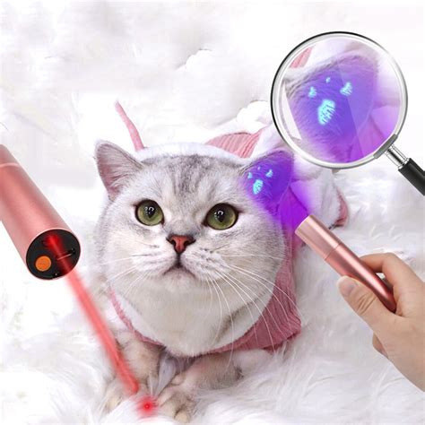 2 In 1 Cat Ringworm Detection Lamp Laser Funny Cat Stick Suzz Mart