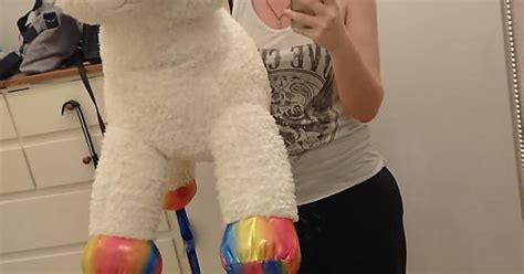 Dad Is Cheating With Majestic Giant Llama Album On Imgur