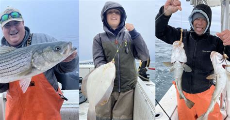 Black Sea Bass And Scup Porgies My Fishing Cape Cod