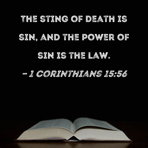 The Sting Of Death Is Sin Concert Sting 2025 Xfcwk