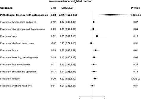 Assessing The Casual Association Between Sex Hormone Levels And Fracture Risk A Two‐sample