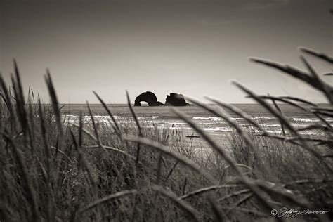 Oregon Coast Tall Grass Jeffrey Favero Fine Art Photography