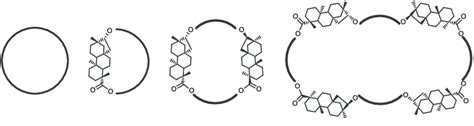 Schematic Representation Of Naturally Occurring Macrocyclic