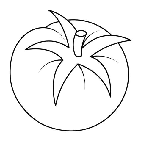 Tomato Shape Drawing At Rodney Swisher Blog