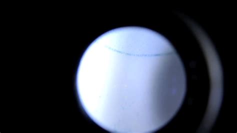 The Ids Frauds Eporner