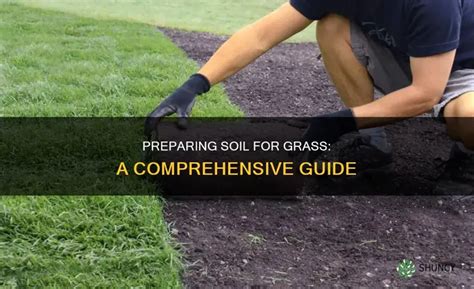Preparing Soil For Grass A Comprehensive Guide Shuncy