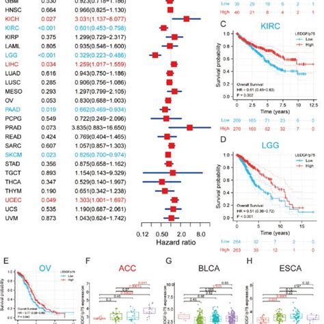 Differential Expression Of Ledgf P Correlates With Patient Prognosis