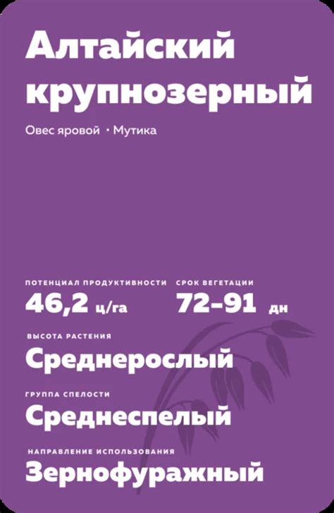 Алтайский крупнозерный - овес яровой. Характеристики и отзывы