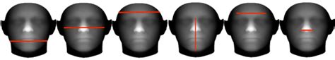 The 6 Anthropometric Head Measurements From Left To Right Bigonial