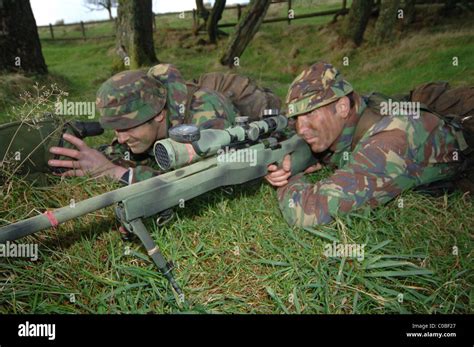 British Snipers Fulfill A Vital And Enduring Role On The Battlefield