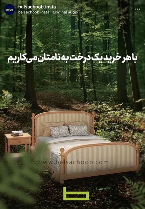 Mohammad Javad Najmi On Linkedin داستان درخت کاشتن و اهمیت به طبیعت