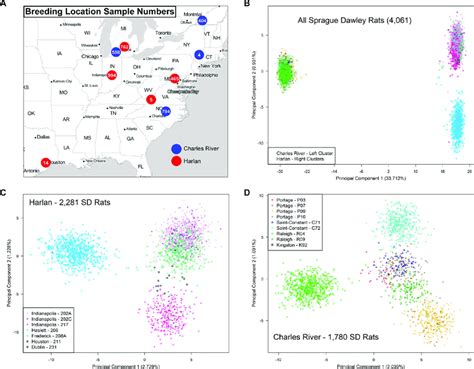 Genetic Architecture Of Sd Rats From Charles River Vs Harlan A Map
