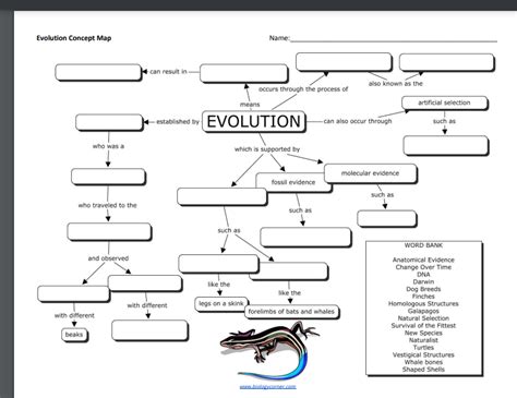 Solved Evolution Concept Map Name Wwwhbiologecarnar Cout Chegg