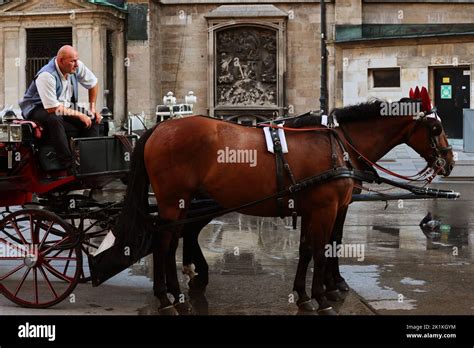 Mann Auf Kutsche Immagini E Fotografie Stock Ad Alta Risoluzione Alamy