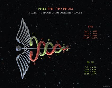 Phive And The Fibonacci Sequence √ø∑dubs