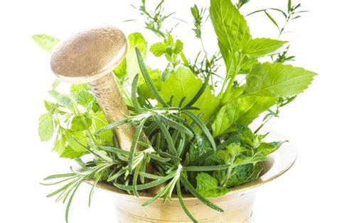 테이블에 있는 구리 박격포의 신선한 허브 신선한 허브 사진 배경 및 무료 다운로드를위한 그림 Pngtree