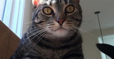 This Is Actually His Happy Face Imgur