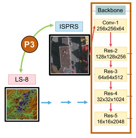 Domain Specific Transfer Learning Strategy Reuses Pre Trained Weights