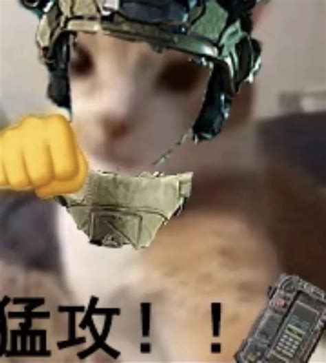 三角洲哈基米表情包表情包图片 求表情网斗图从此不求人