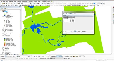 Arcgis Desktop Rasters With Duplicated Data Geographic Information