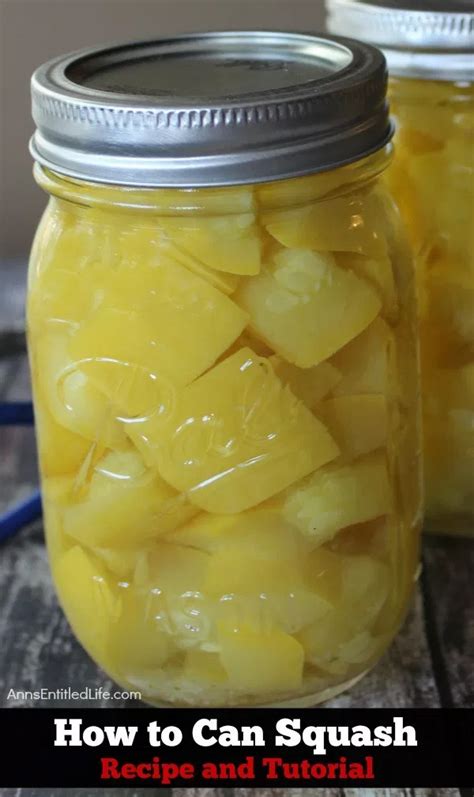 Canned Squash Recipe Artofit