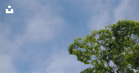 A Plane Flying Through A Cloudy Blue Sky Photo Free Forest Image On Unsplash