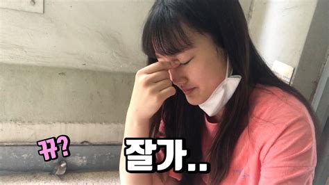 아기새를 버렸습니다 Youtube